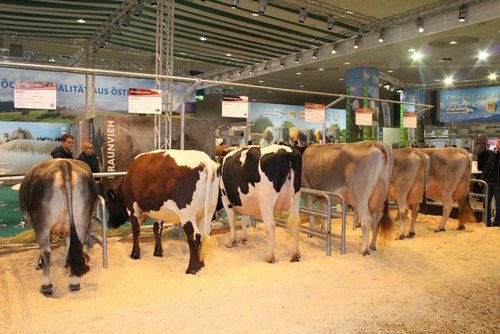 EUROTIER Hannover vom 13. – 16. November 2018