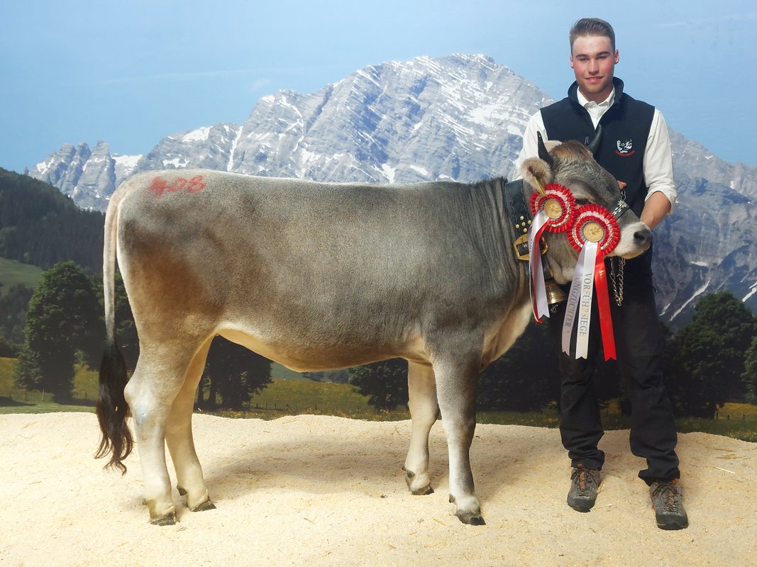 Kuisa24 – JungzüchterInnen in Hochform!!