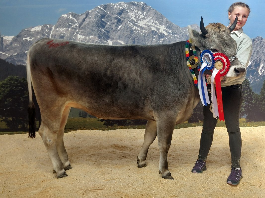 Kuisa24 – JungzüchterInnen in Hochform!!